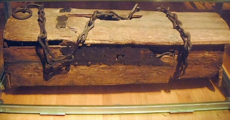 The Remarkable Discovery of a Viking Craftsman's Lost Chest and Its ...
