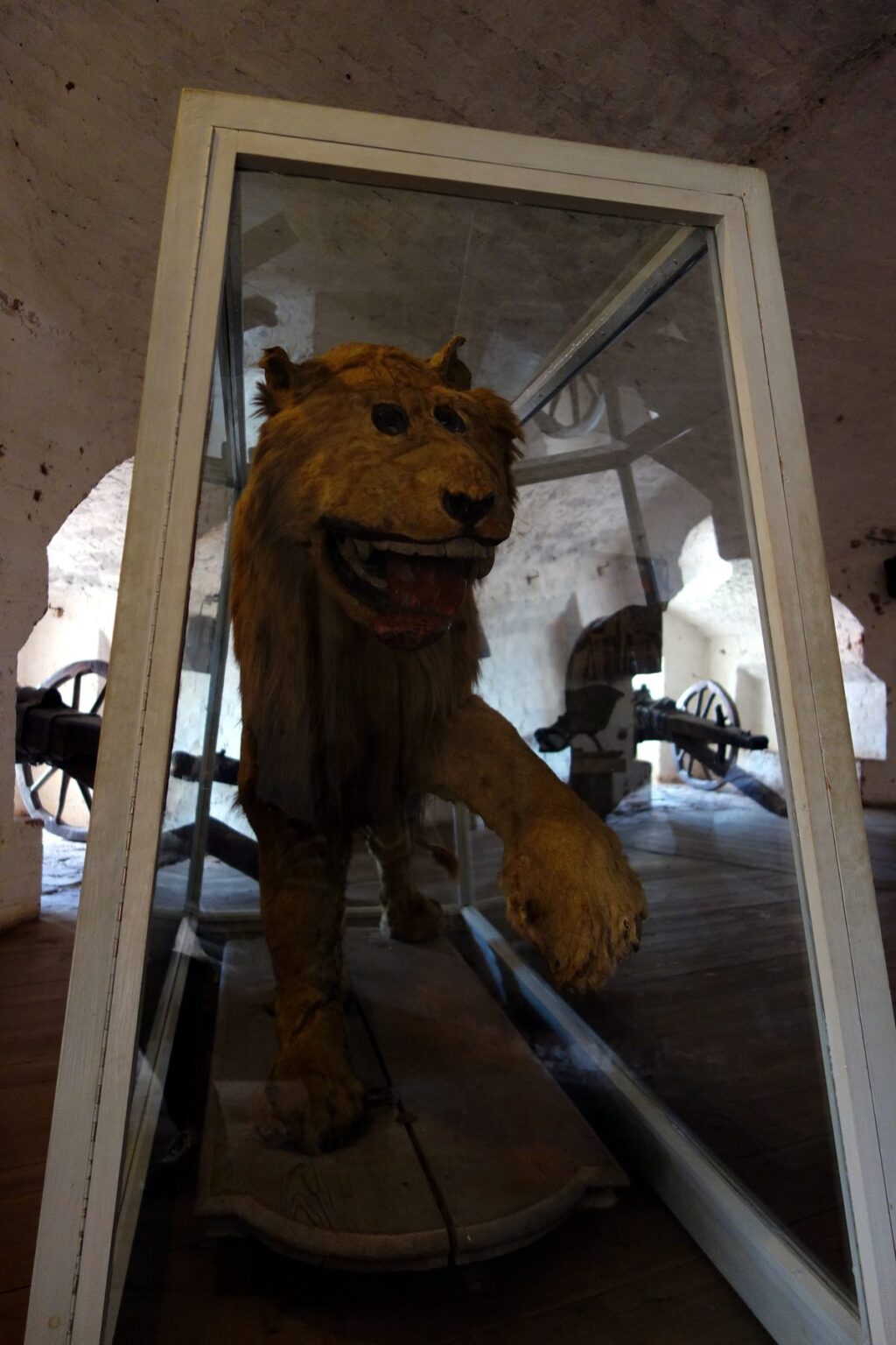 The Lion of Gripsholm Castle: A Taxidermy Disaster Turned Internet ...
