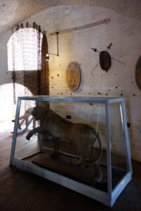 The Lion of Gripsholm Castle: A Taxidermy Disaster Turned Internet ...