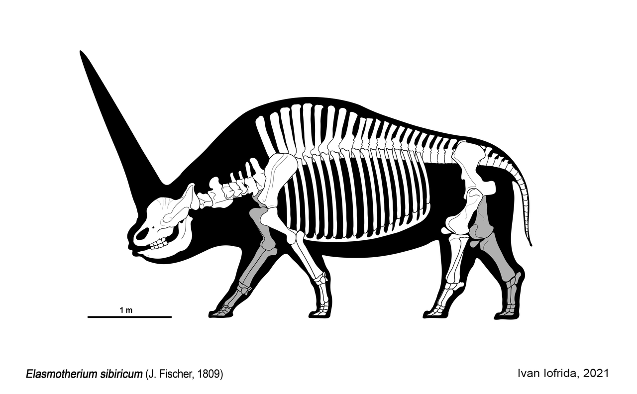 The Extinct Elasmotherium: The “Thin Plate Beast” of Eurasia - Hasan Jasim