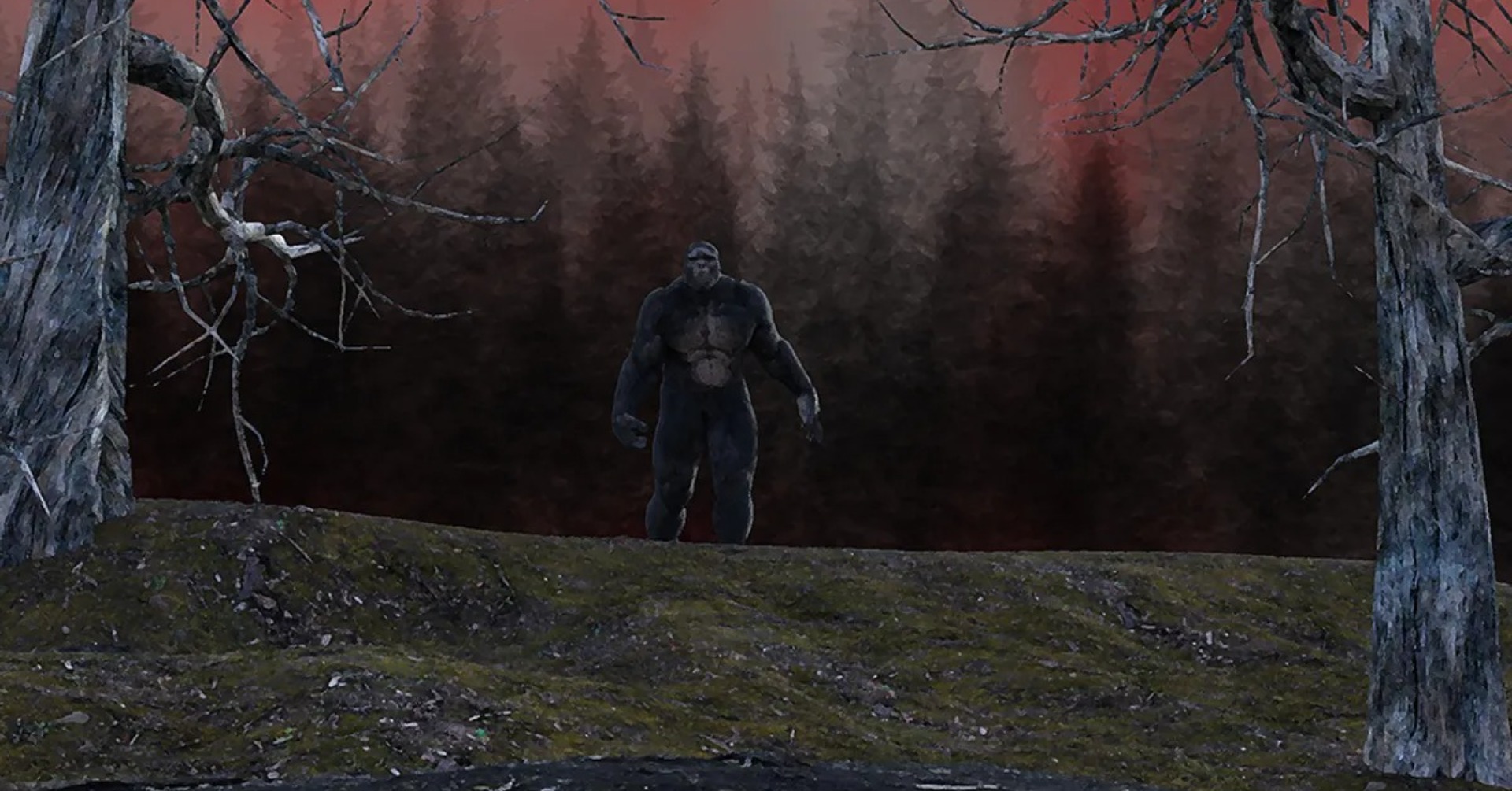 Bigfoot Footage Stabilized with AI: Shedding New Light on an Enigmatic ...