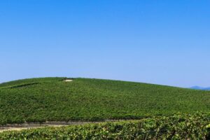 The Story Behind the Windows XP Desktop: The Real Location of the Bliss ...