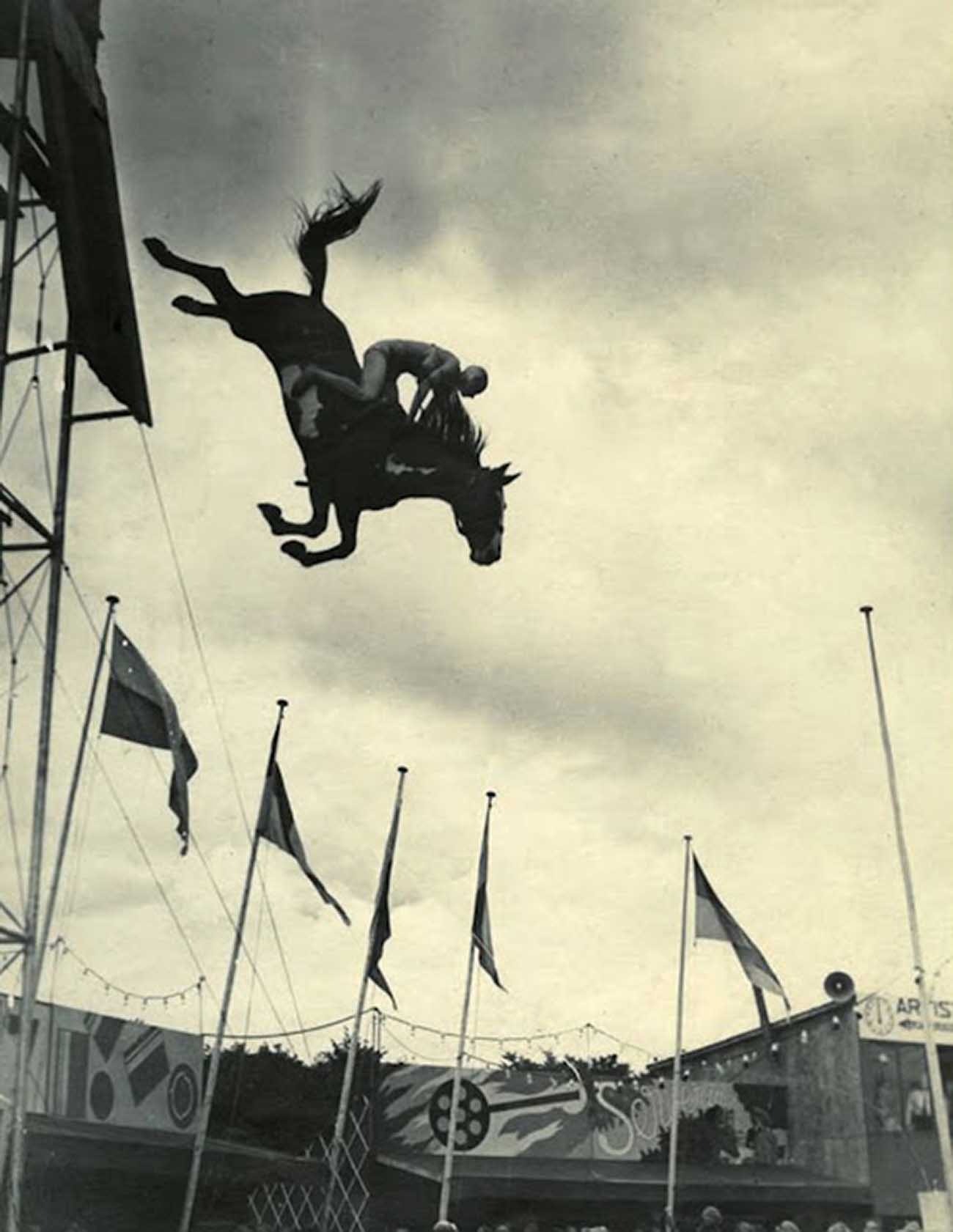 The Diving Horse: A Dangerous and Controversial Stunt Show - Hasan Jasim