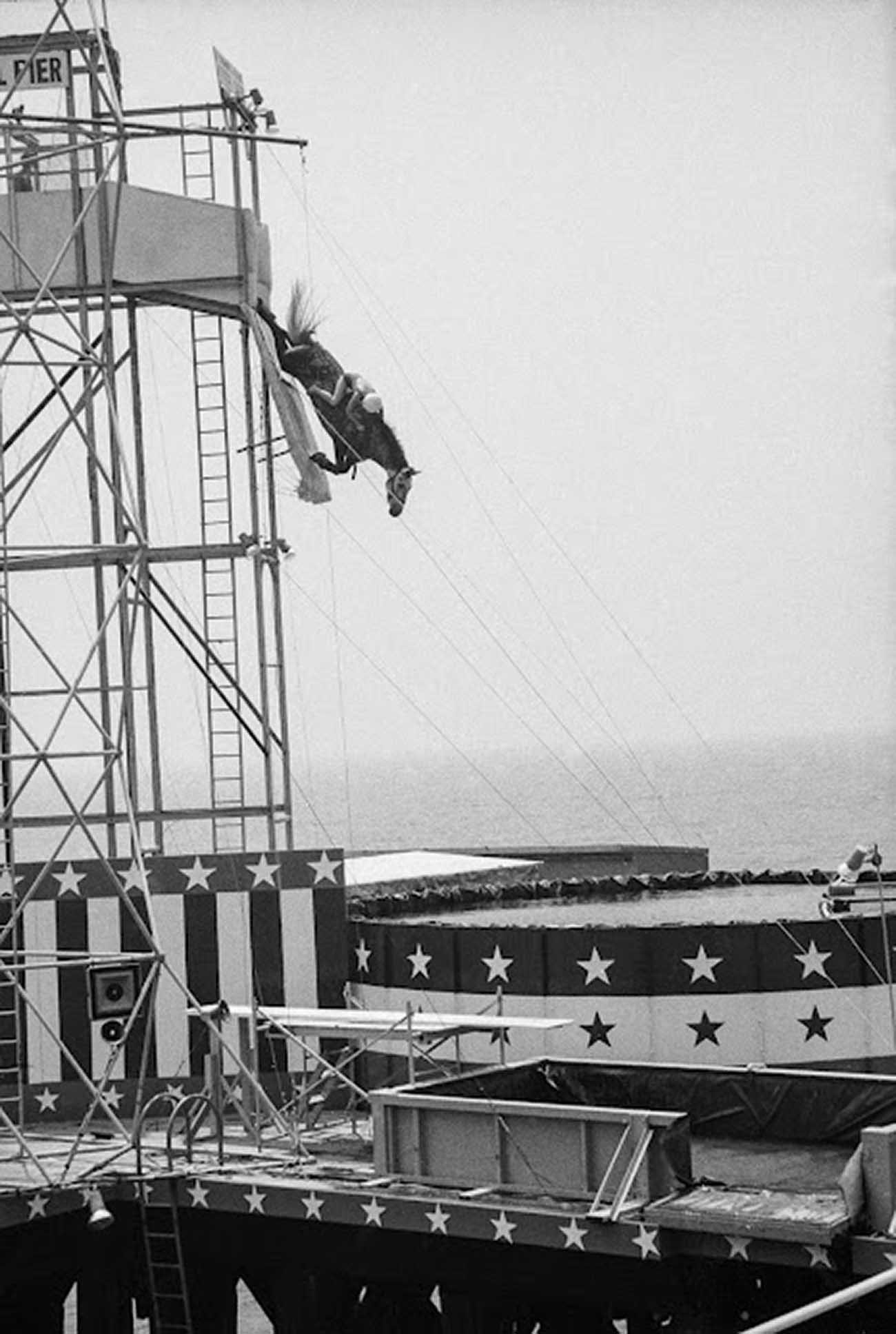 The Diving Horse: A Dangerous and Controversial Stunt Show - Hasan Jasim