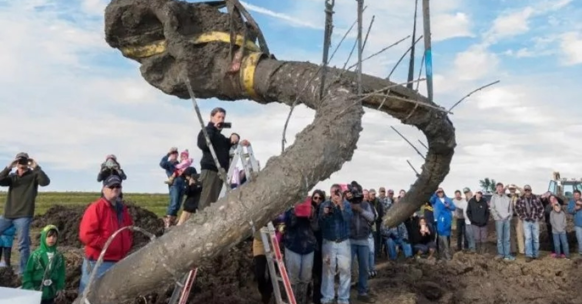 Ancient Mammoth Bones Found in Michigan Suggest Human Butchering and ...