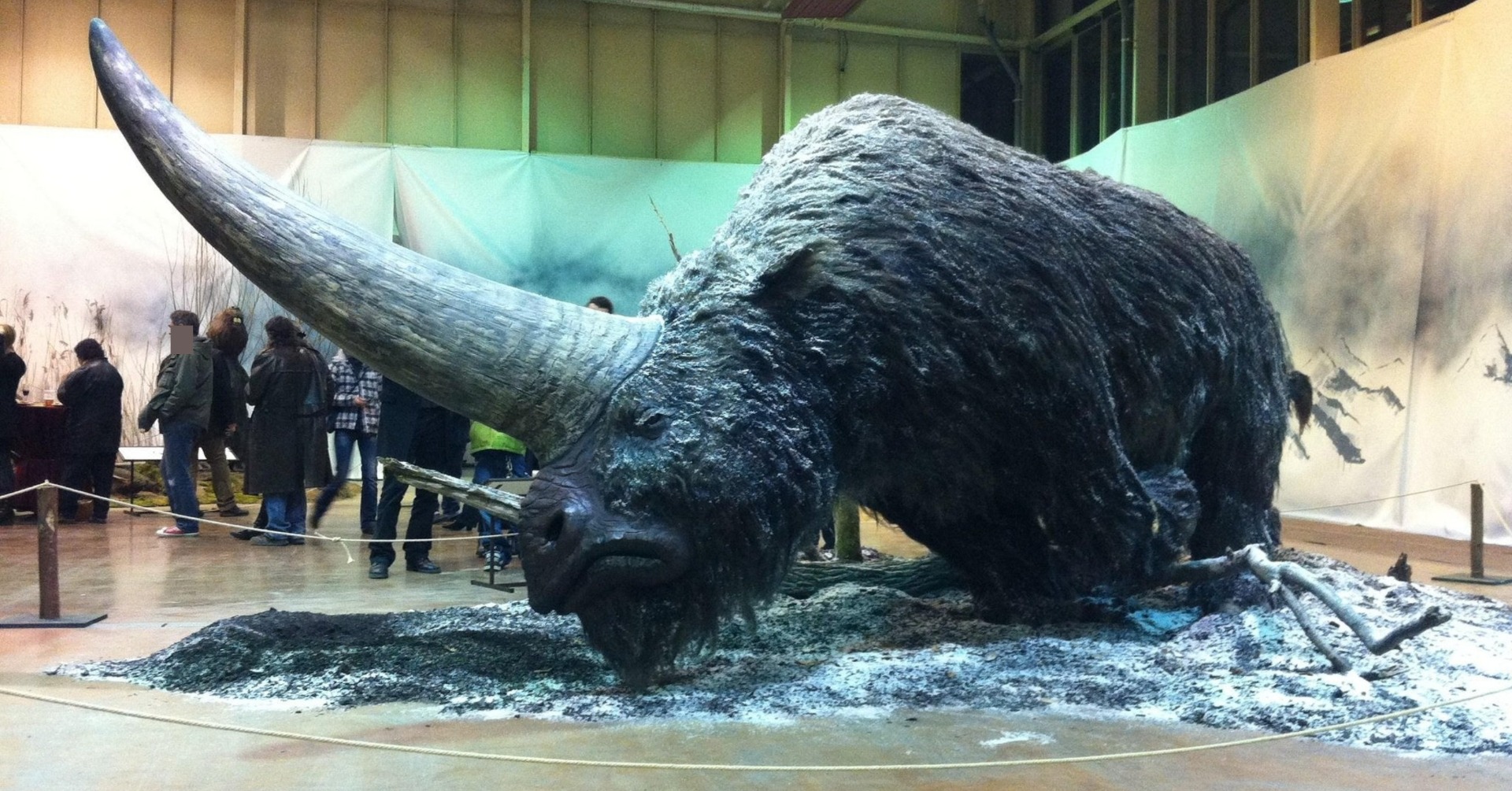 The Extinct Elasmotherium: The “Thin Plate Beast” of Eurasia - Hasan Jasim