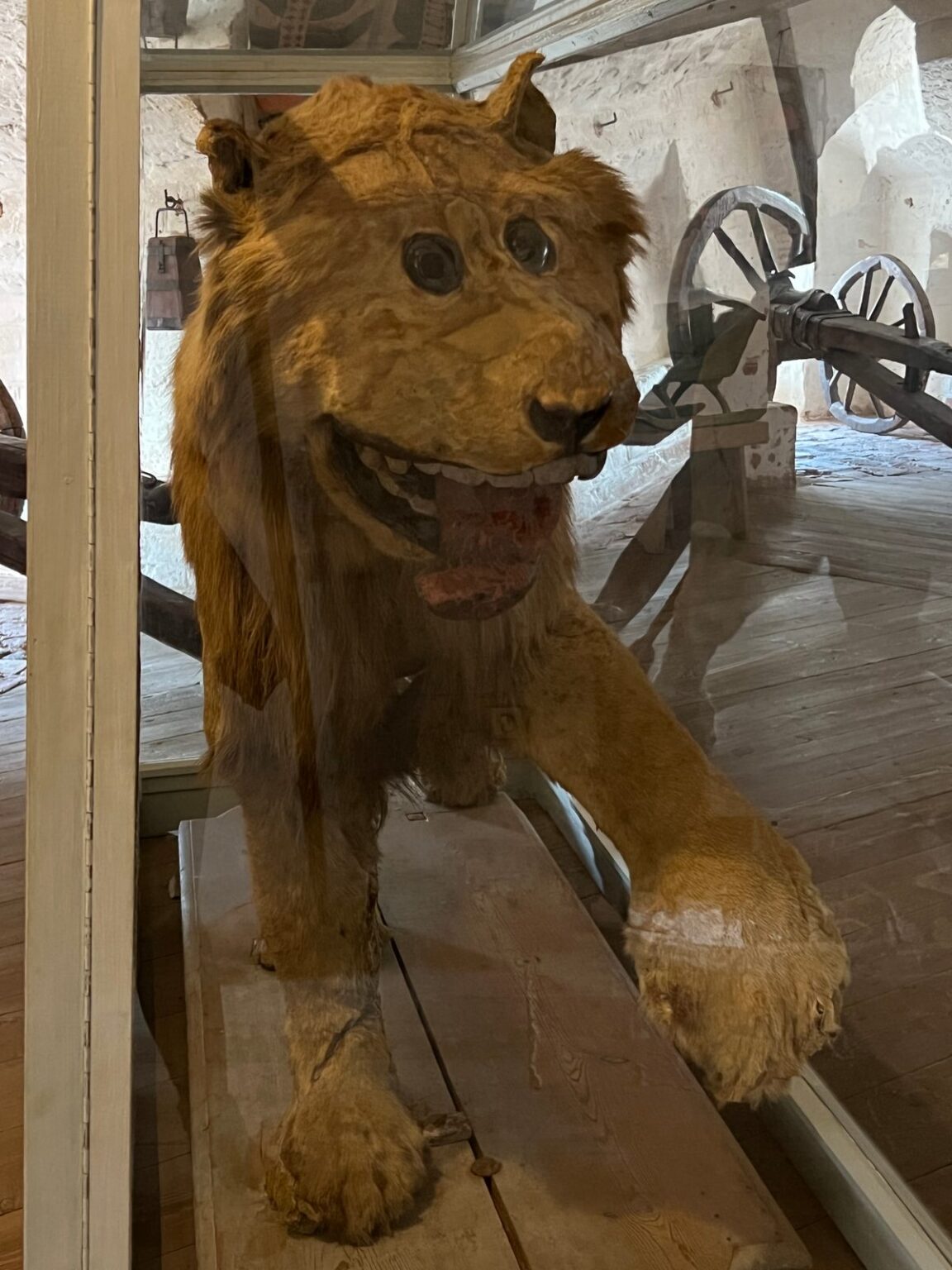 The Lion of Gripsholm Castle: A Taxidermy Disaster Turned Internet ...