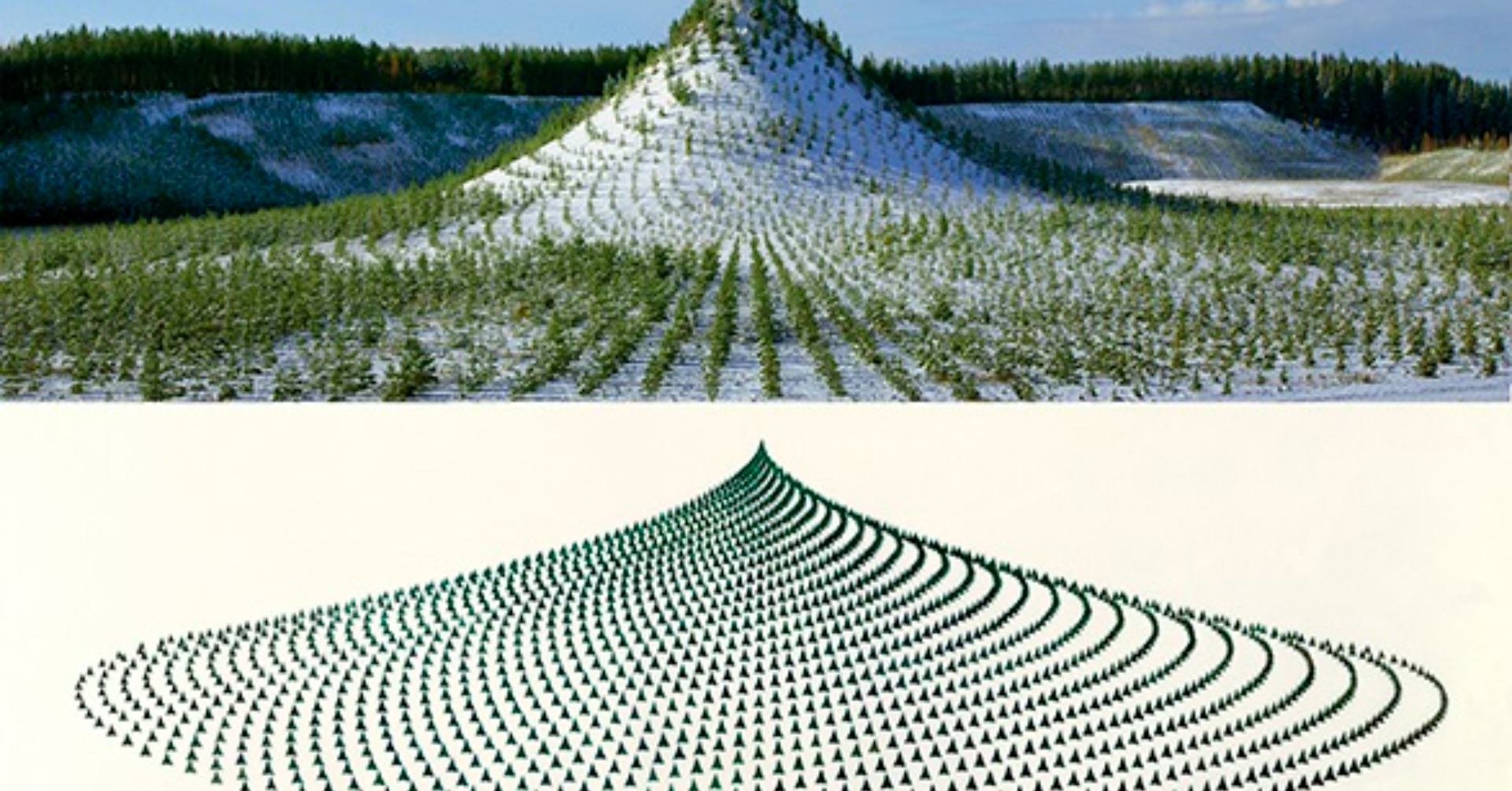 Tree Mountain: A Living Time Capsule of Environmental Sustainability ...