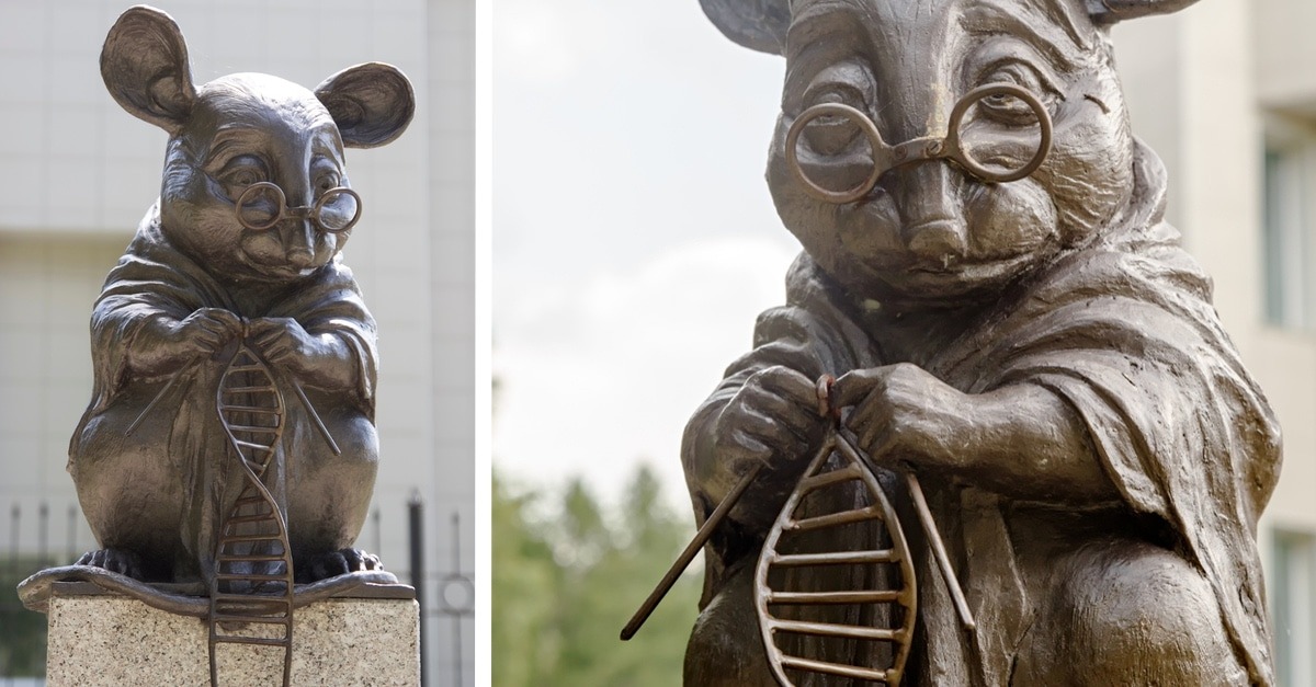 There’s a Bronze Statue of a Mouse Knitting a DNA Double Helix in ...