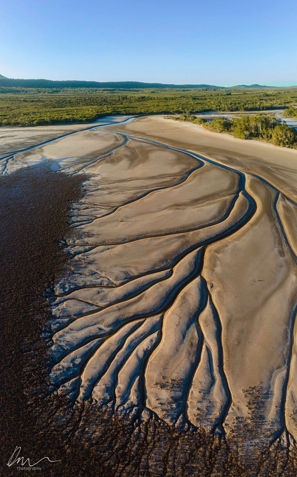 Australian Photographer Captures Breathtaking ‘Tree of Life’ Formation ...