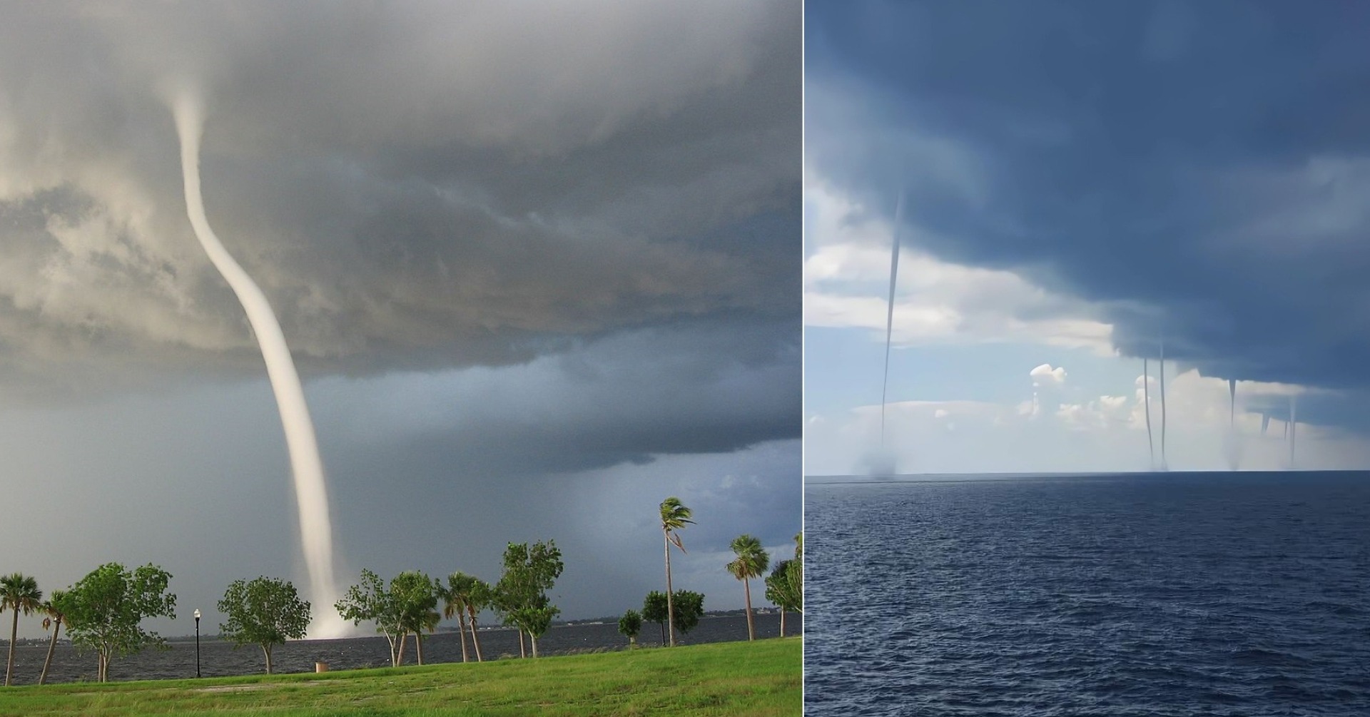 Swirling Wonders: Exploring the Mesmerizing Beauty and Science of ...