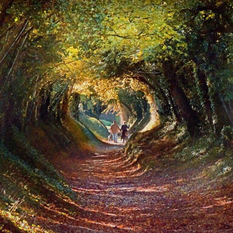 Exploring the Ancient Path: Stane Street, the Roman Road Connecting ...