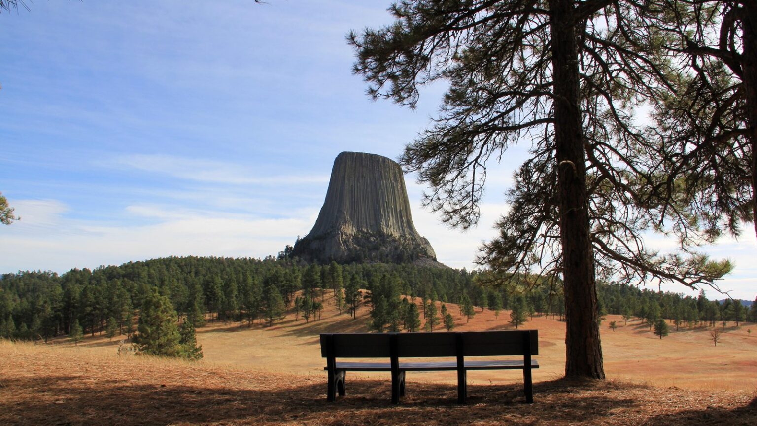 A Startling Discovery: Debunking the Myth of Devil’s Tower as a Giant ...
