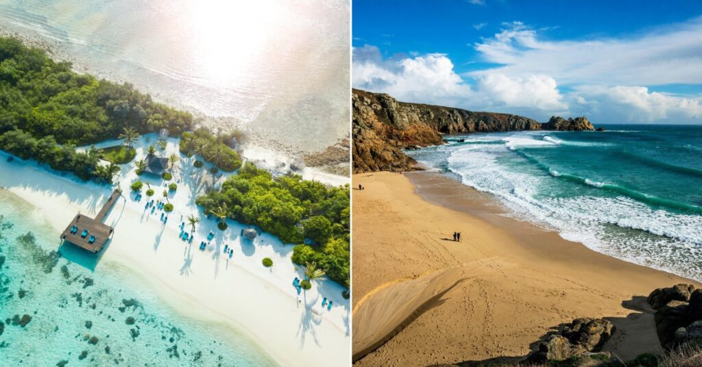 Sheep Preserved Intact After Drowning in Canal - Hasan Jasim