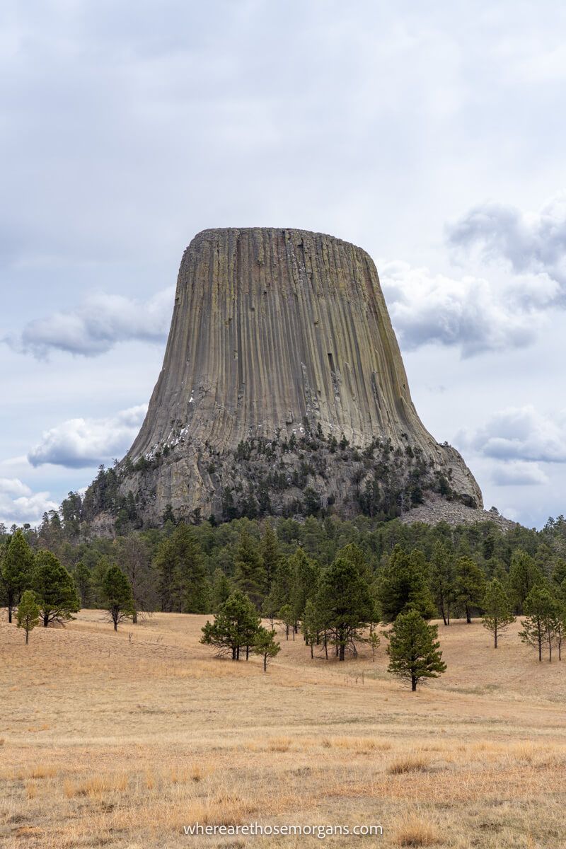 A Startling Discovery: Debunking the Myth of Devil’s Tower as a Giant ...