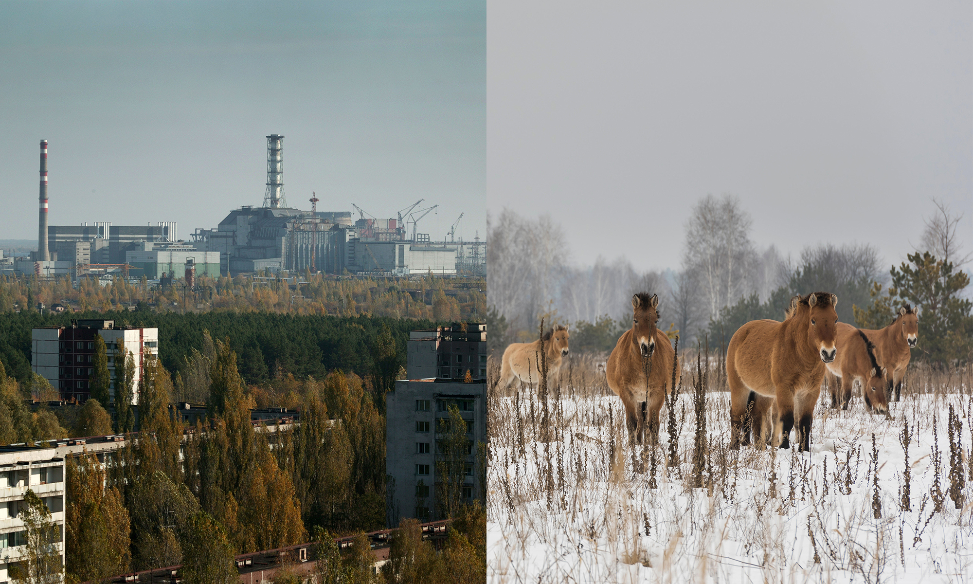 Haunting Before and After Pictures Unveil the True Impact of Chernobyl ...