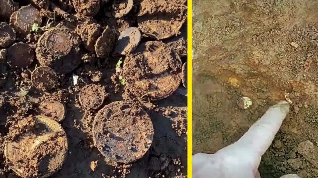 Kentucky Man Discovers the Great Kentucky Hoard: 700 Gold Coins from ...
