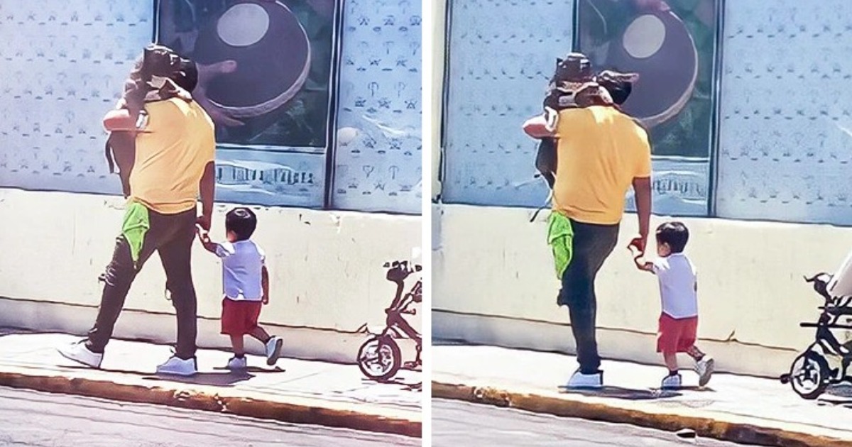 Father praised for choosing to carry his large dog instead his small ...