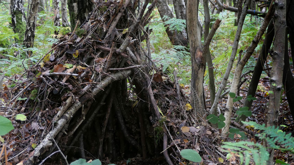 Finding The Bodies of an American Family Who Decided to Live in The ...