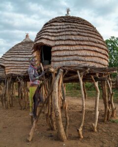 Exploring the Vernacular Architecture of Traditional African Village ...