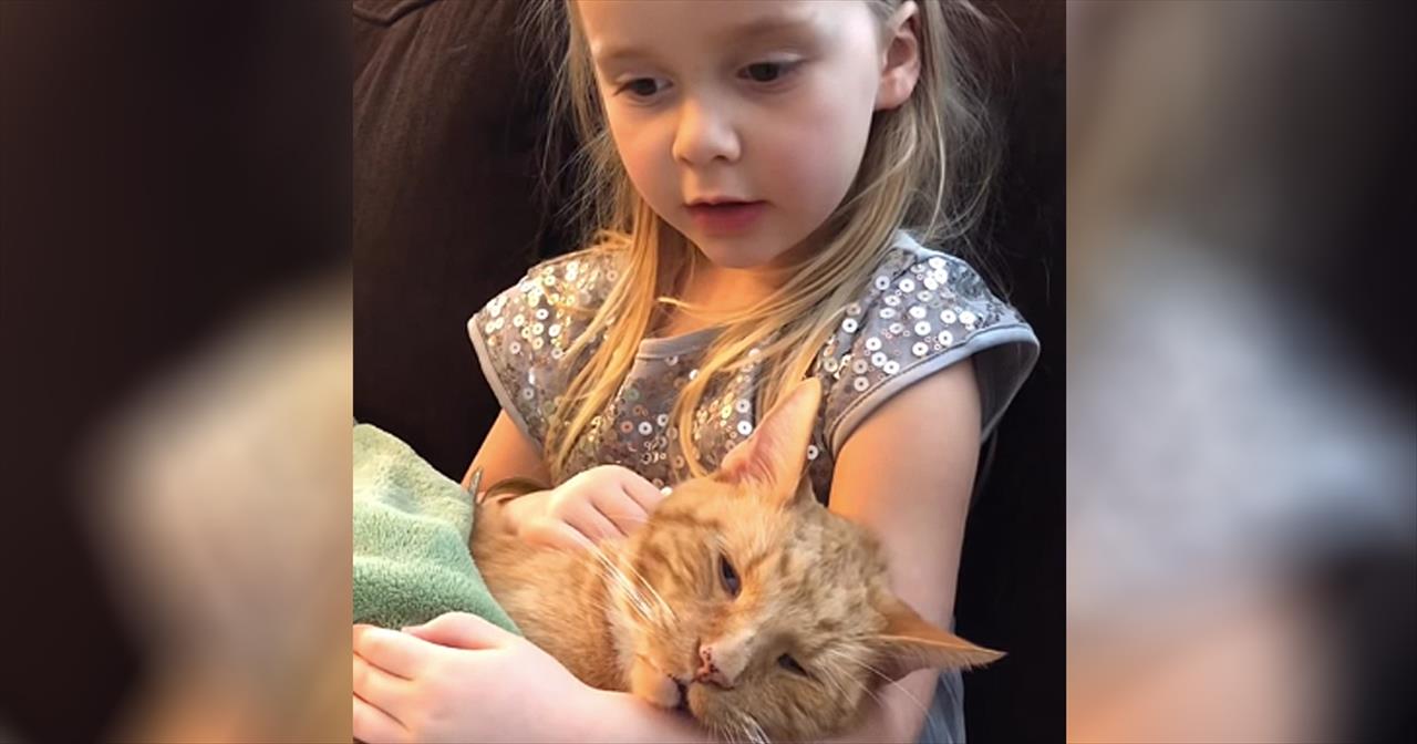Little girl emotionally sings ‘You Are My Sunshine’ to dying cat ...