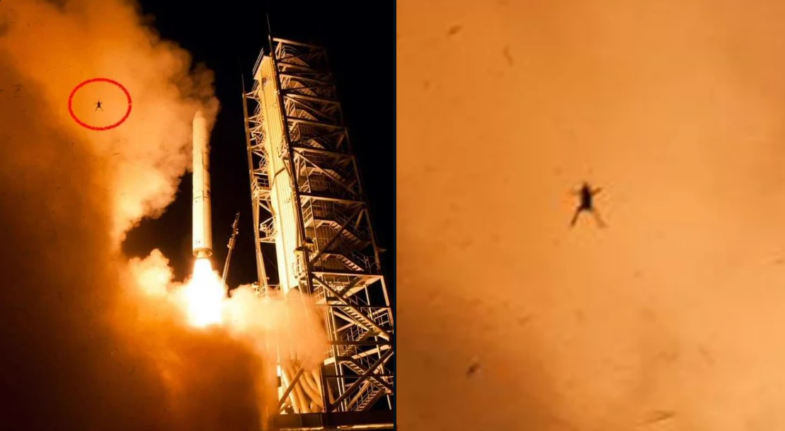 Unexpected Guest: Frog Steals the Show at NASA Rocket Launch - Hasan Jasim