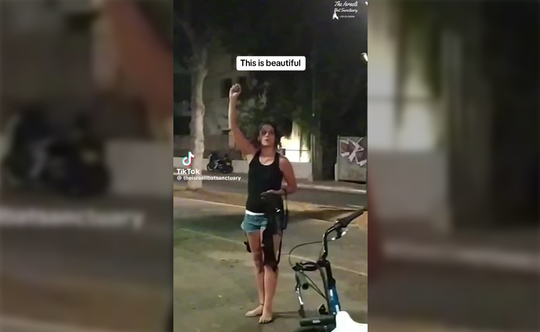 In the Heart of Tel Aviv: A Tale of Love and Compassion Among the Bats ...