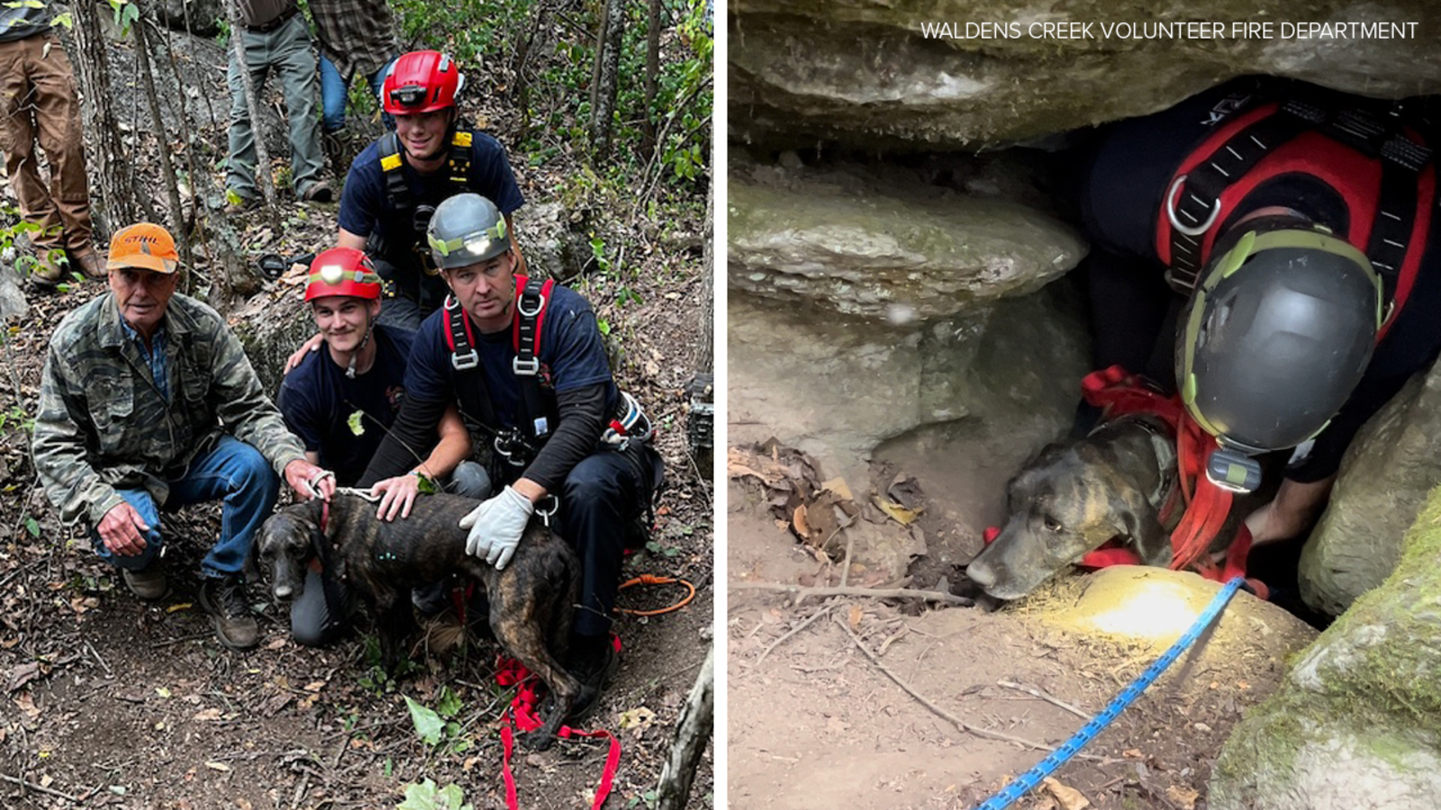 Rescuers brave narrow 40-foot bear cave to save trapped dog - Hasan Jasim