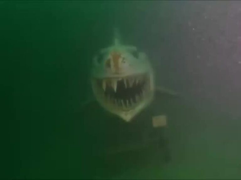 The Story of the Eerie Shark Statue at the Bottom of Lake Neuchâtel in ...