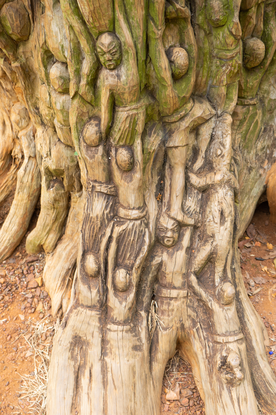 The 'Tree of Life' at Aburi Botanical Gardens: A Remarkable Carved ...