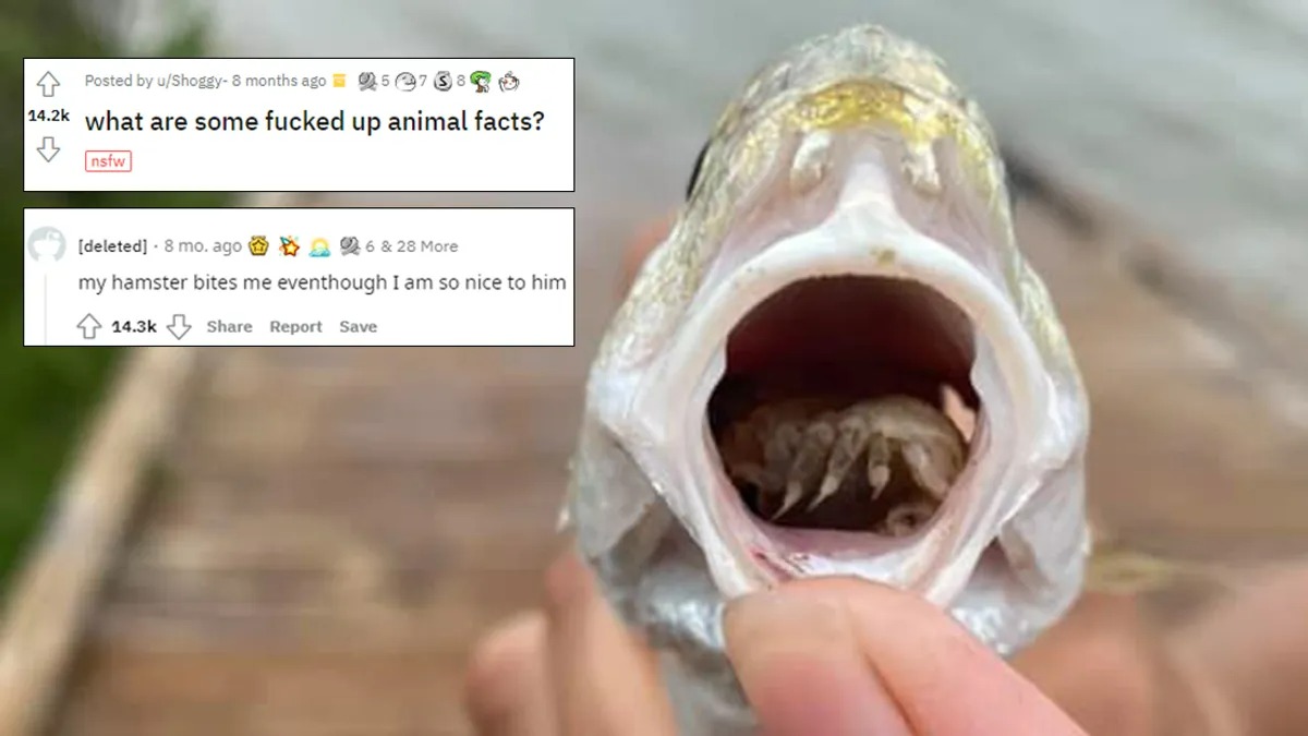 Redditors Share Their Messed Up Animal Facts - Hasan Jasim