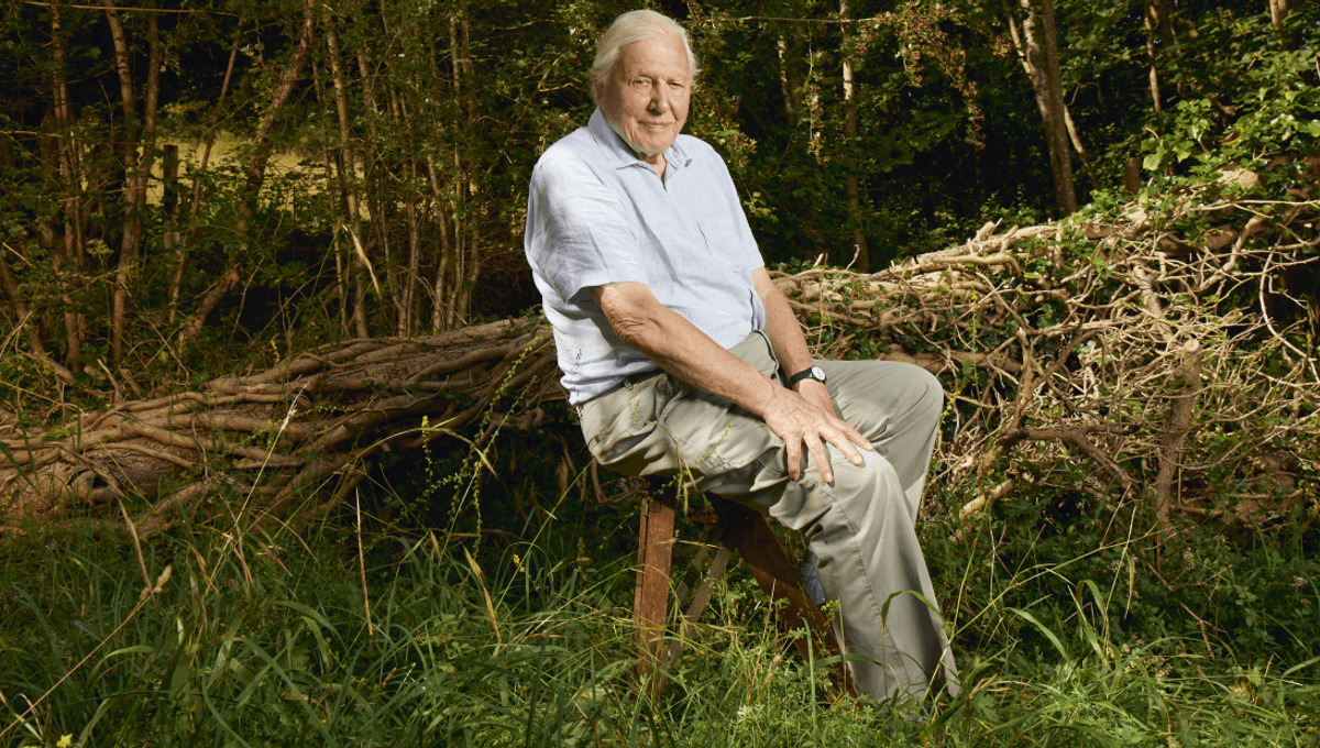 The World’s Loneliest Frog Finds Love In David Attenborough’s Latest ...