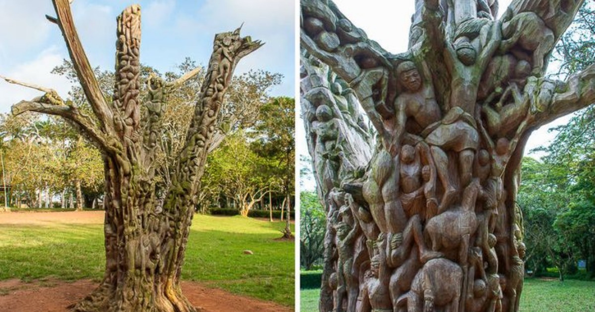 The ‘Tree of Life’ at Aburi Botanical Gardens: A Remarkable Carved ...