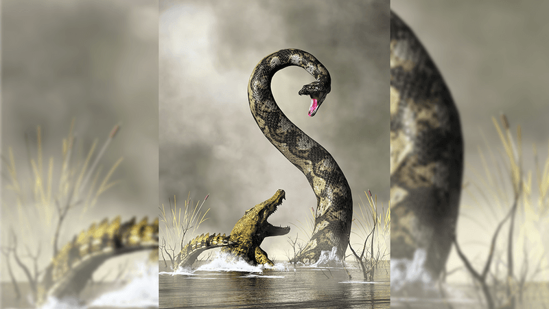 Mighty 13-Meter Titanoboa Was The Largest Snake Ever To Slither The ...