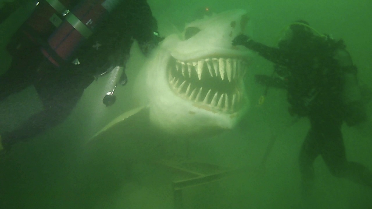 The Story of the Eerie Shark Statue at the Bottom of Lake Neuchâtel in ...
