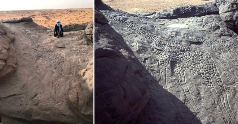 Easter Island’s Hidden Secret: Moai Statues Unveiled with Full Bodies ...