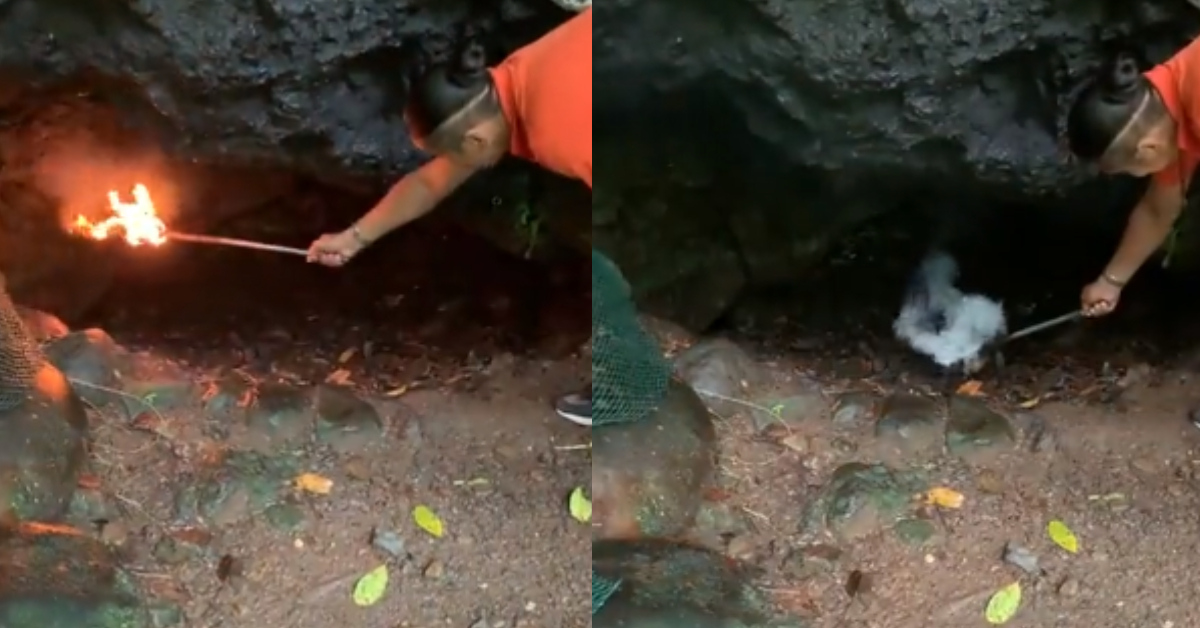 Unveiling Costa Rica's Deadly 'Cave of Death' - Hasan Jasim