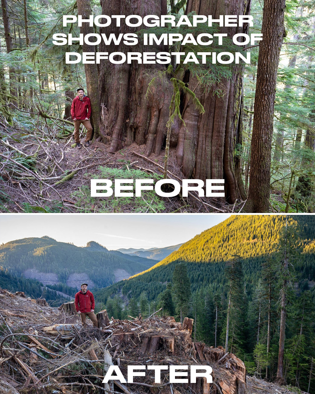 Photographer’s appalling before-and-after photos show the dark truth ...