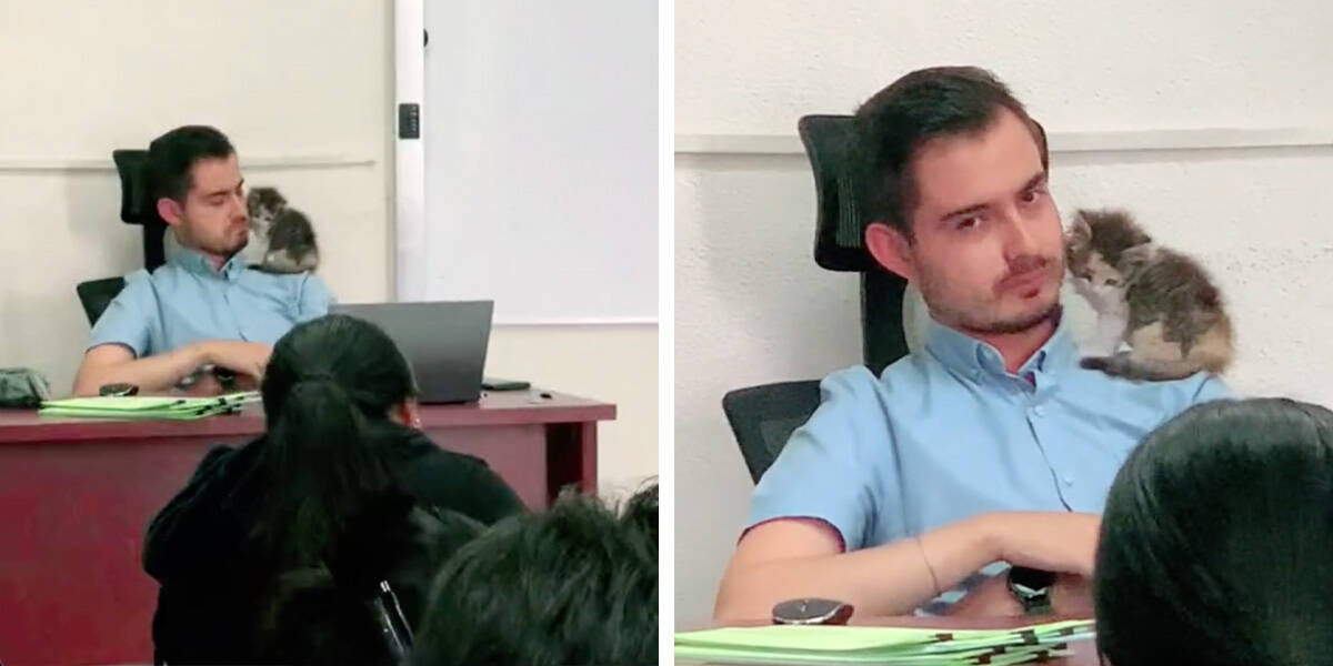 Professor Sweetly Steps In After His Student Couldn’t Find A Pet Sitter ...