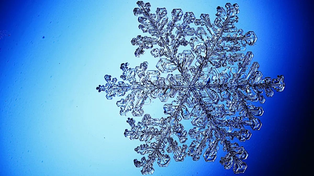 The Biggest Snowflake Ever Reported Was As Wide As A Large Pizza ...