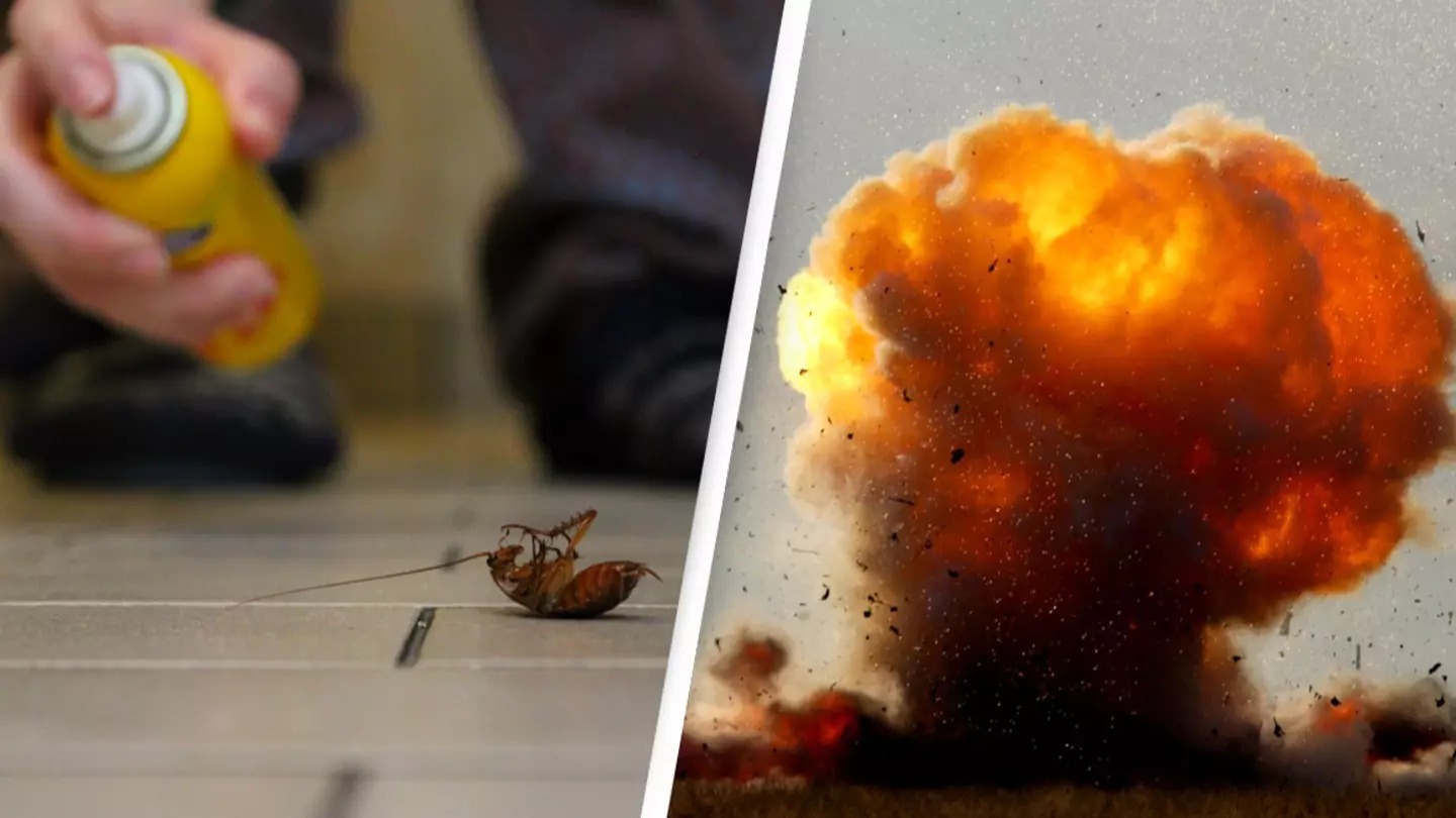 A Japanese man blew up his house trying kill a single cockroach - Hasan ...