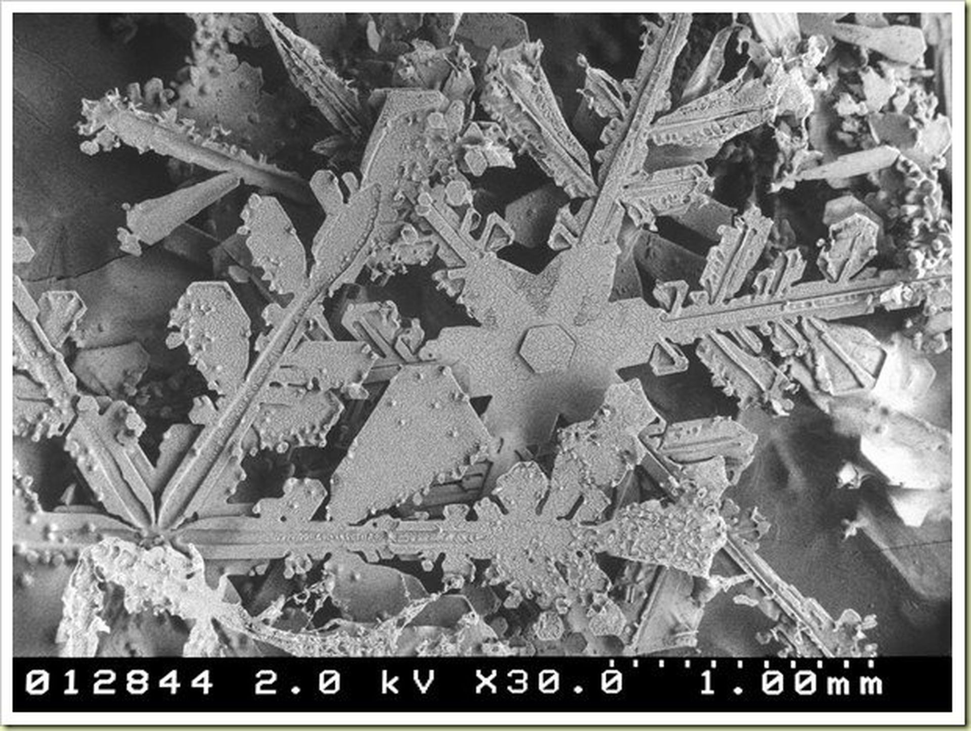 The Hidden Beauty of Snowflakes: A Microscopic Journey into Winter’s ...