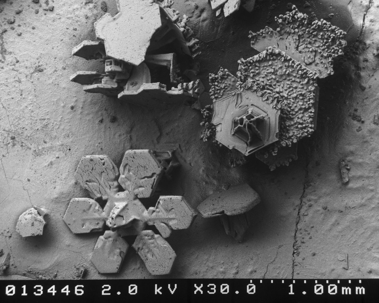 The Hidden Beauty of Snowflakes: A Microscopic Journey into Winter’s ...