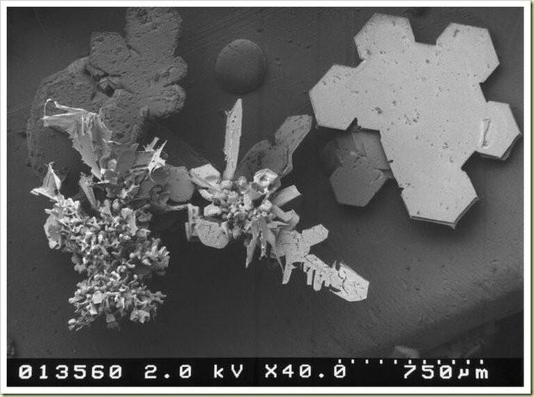 The Hidden Beauty of Snowflakes: A Microscopic Journey into Winter’s ...