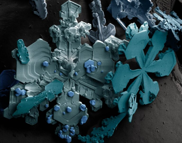 The Hidden Beauty of Snowflakes: A Microscopic Journey into Winter’s ...