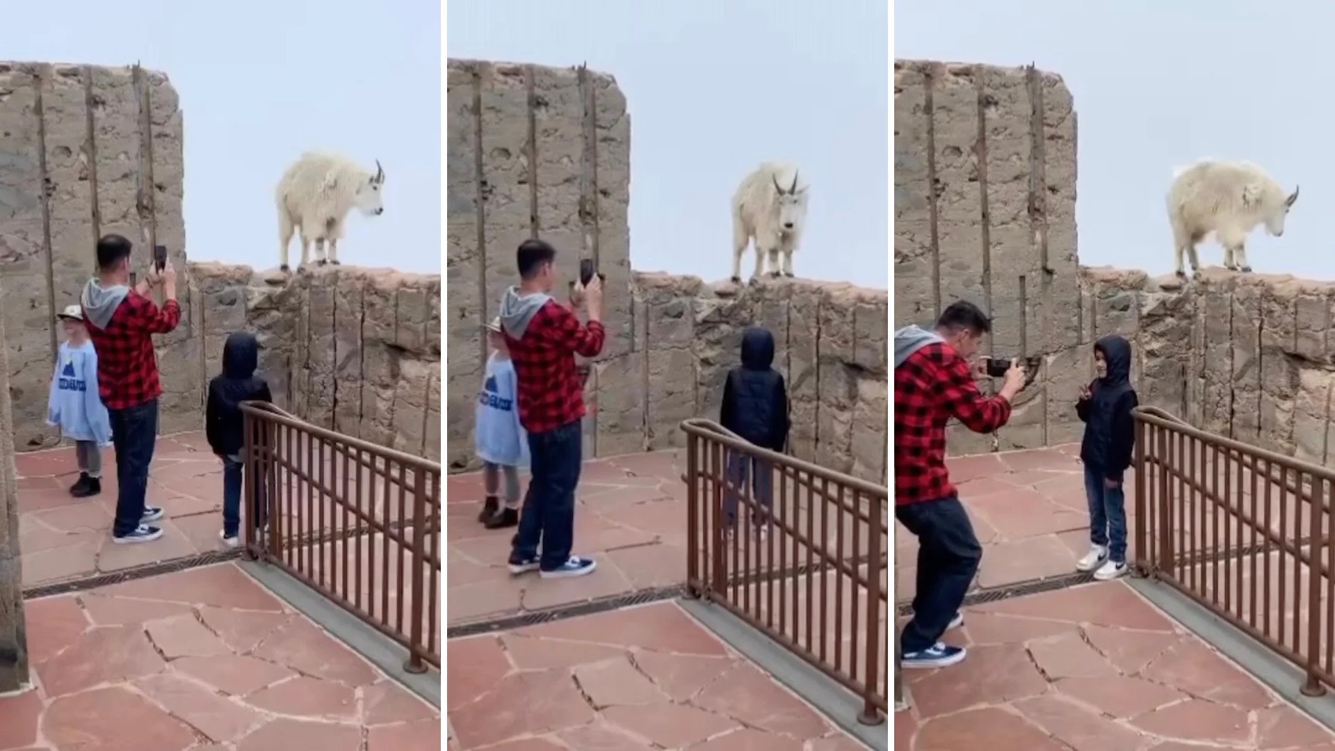 Video of father risking child’s safety for photo sparks outrage online ...