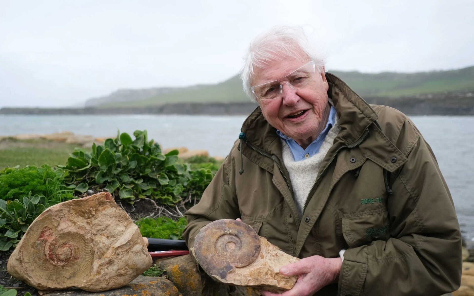 Attenborough and the Giant Sea Monster Unveils Jaw-Dropping Discovery ...