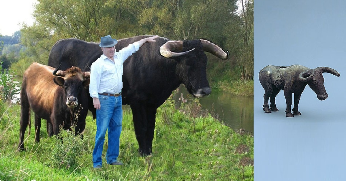 Reviving a Long-Gone Ancient Species: Bringing Back the Aurochs From ...
