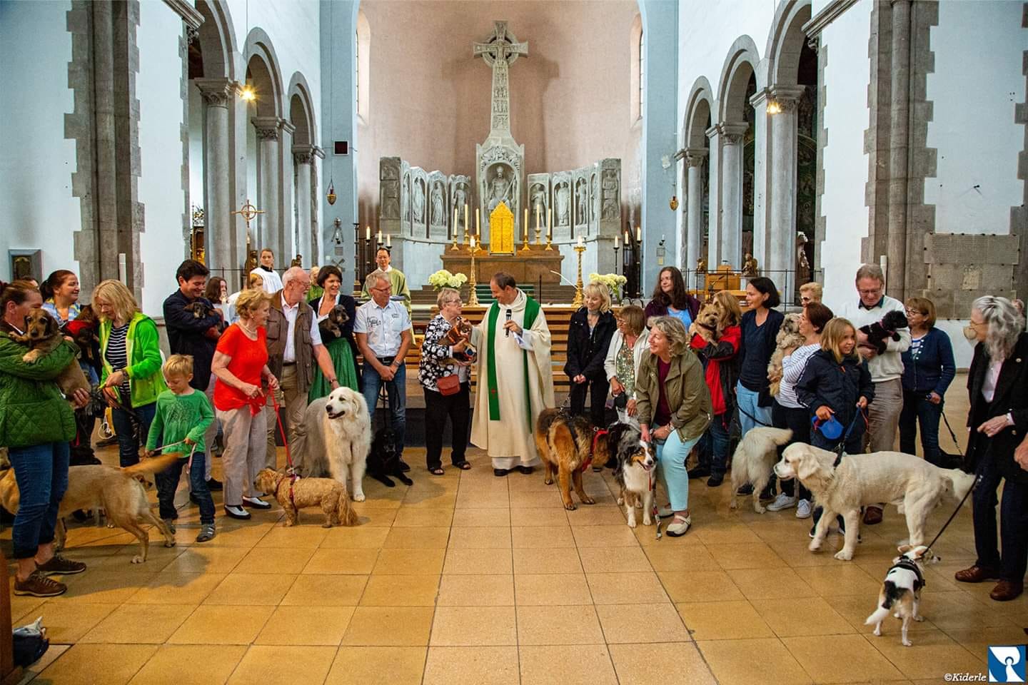 This Brazilian Priest Takes Stray Dogs Off the Streets To Get Them ...