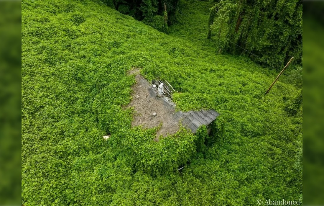 Photographer captures ‘terrifying’ photo of abandoned home completely ...